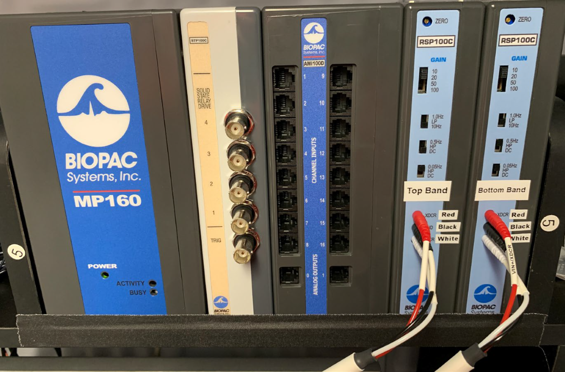 About Us | Cornell Phonetics Lab